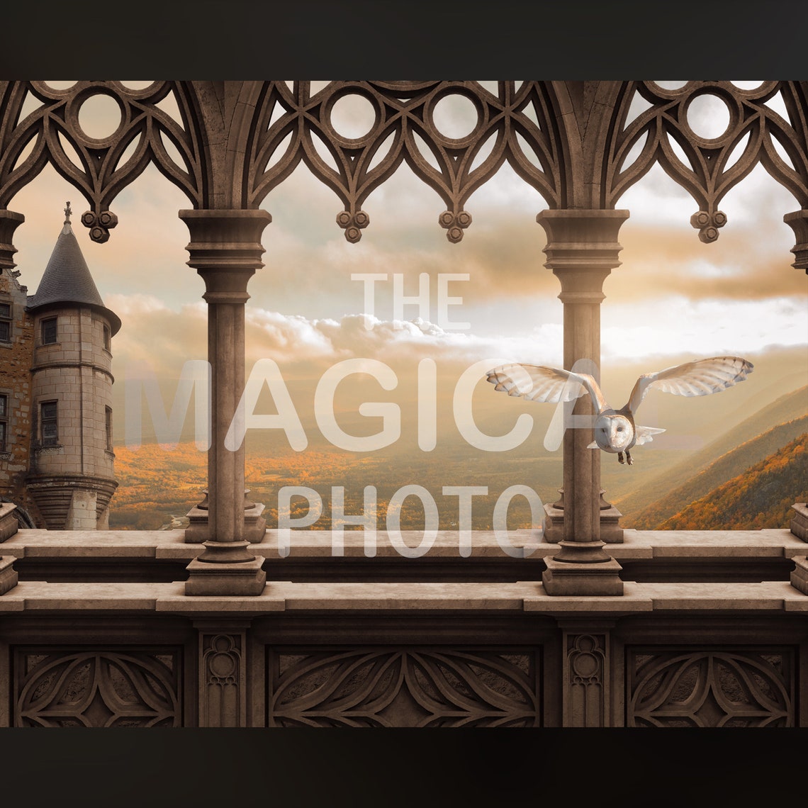 Wizard Digital Background, Digital Backdrop, for Composite Photoshop ...