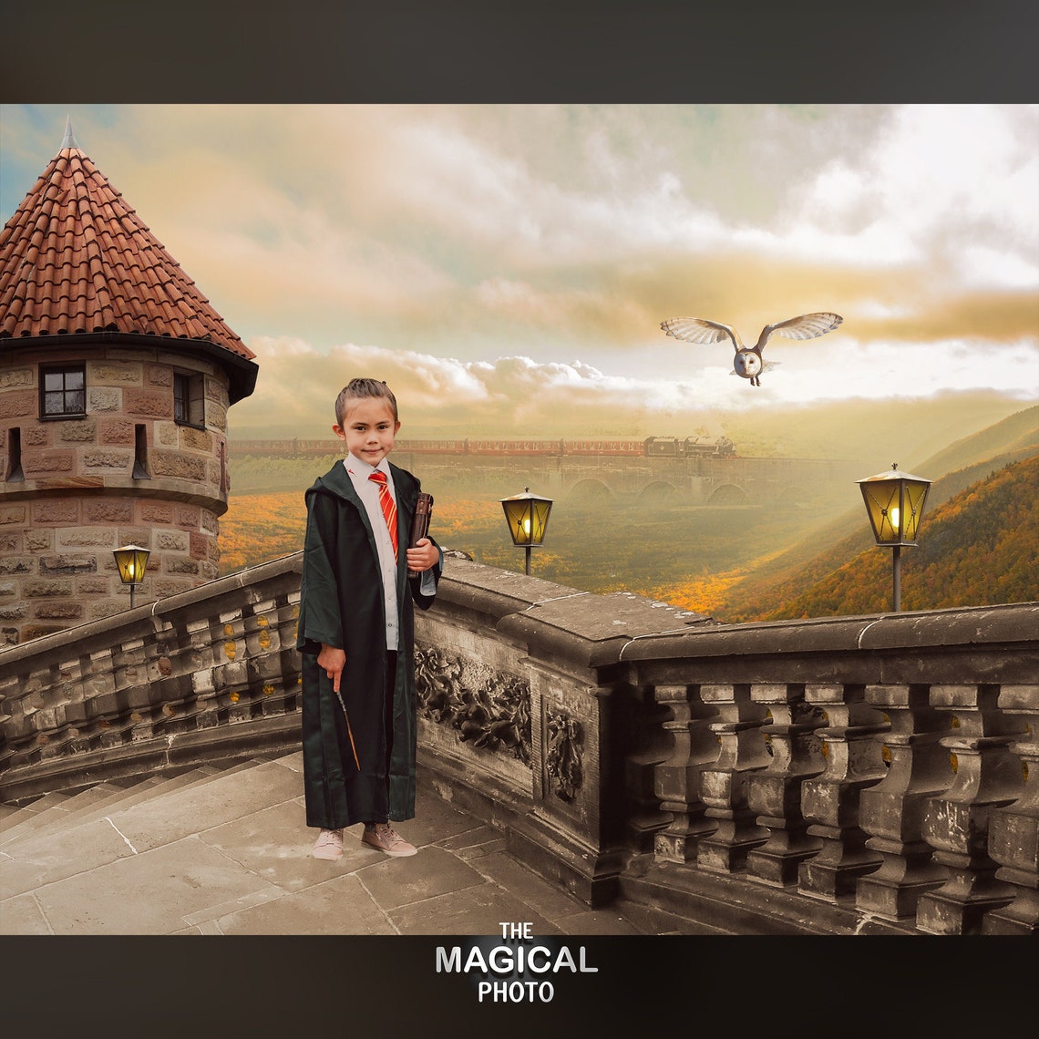 Wizard Digital Background Digital Backdrop for Composite - Etsy