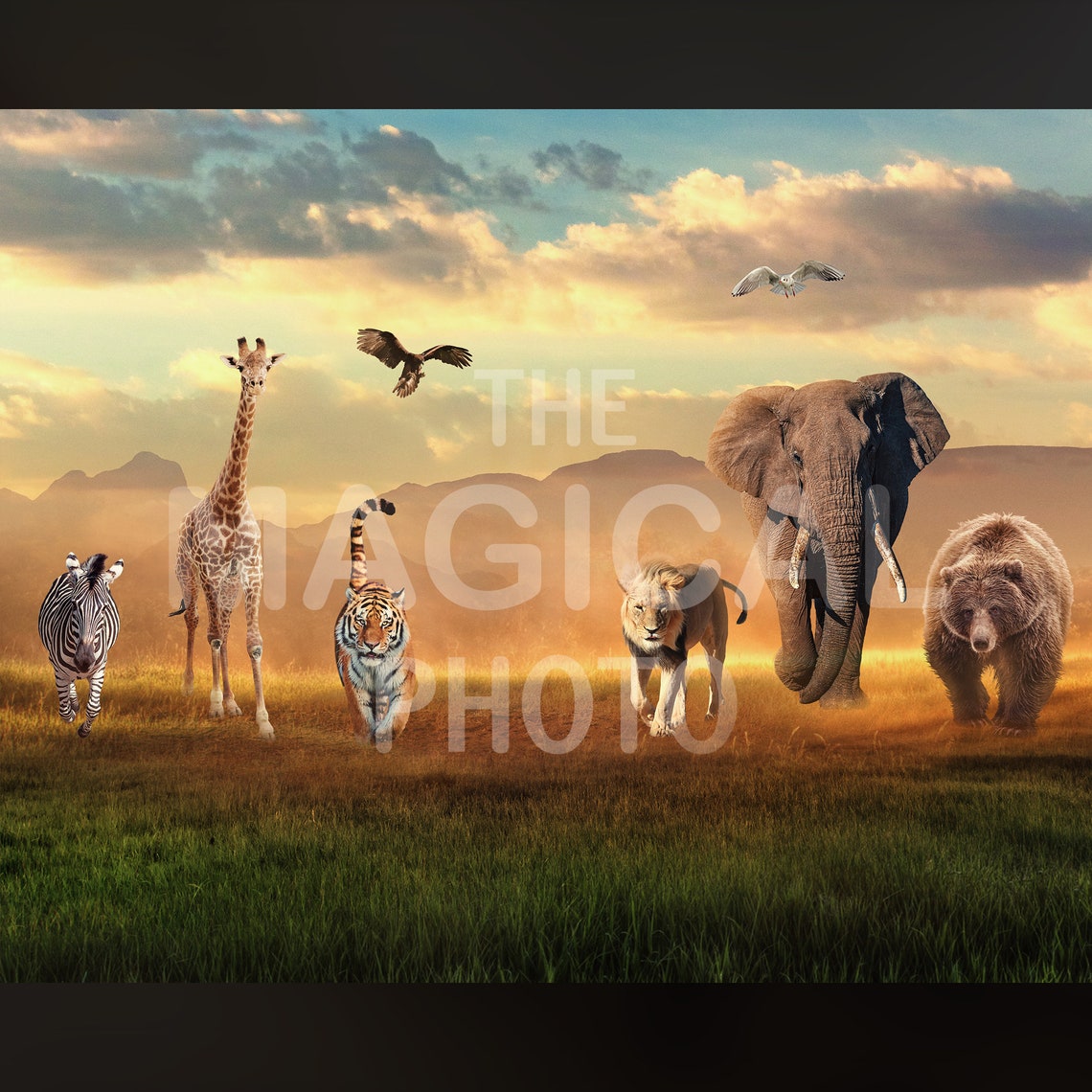 Safari Animals Digital Backdrop, Photoshop Composite (JPEG) - Etsy Canada