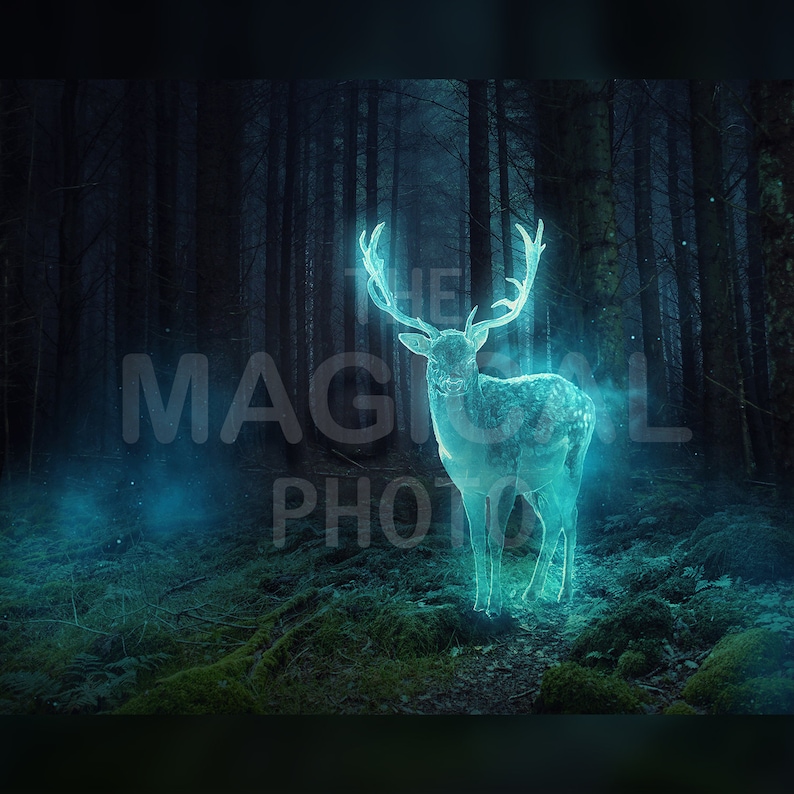 Wizard Digital Background Digital Backdrop for Composite | Etsy