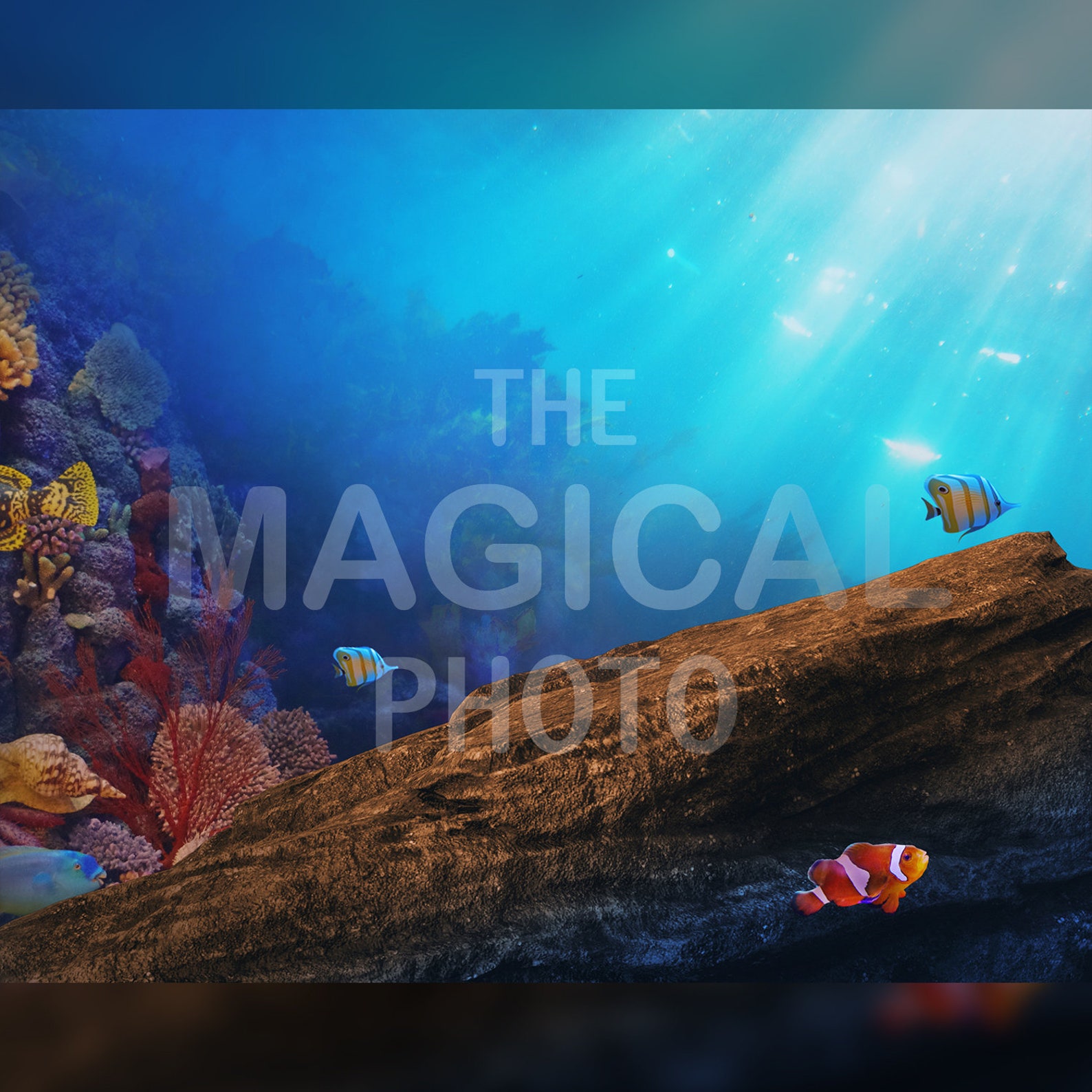 Mermaid Digital Background Digital Backdrop for Composite - Etsy