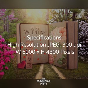 Valentine Digital Background, Digital Backdrop, for Composite Photoshop ...
