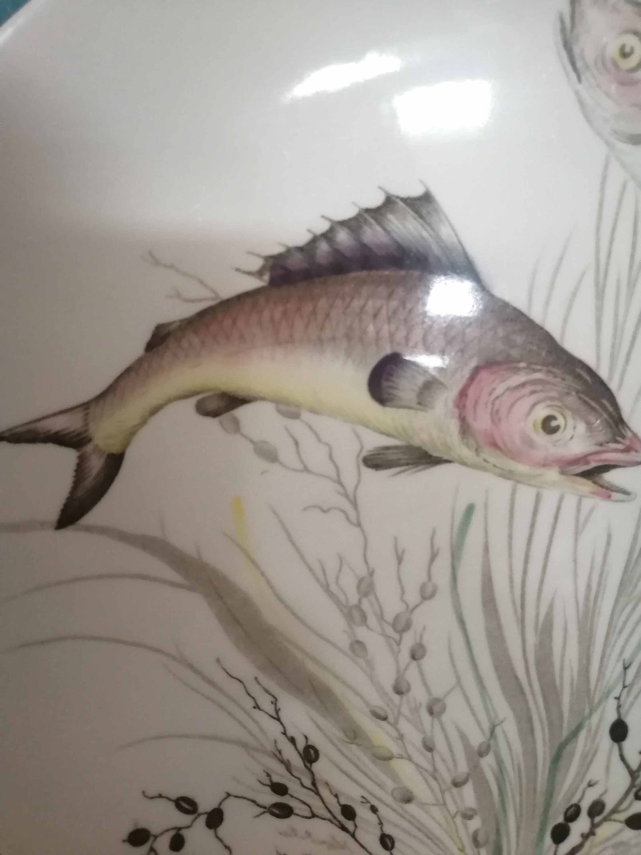 Johnson Bros 'fish' Plate No 3 - Etsy