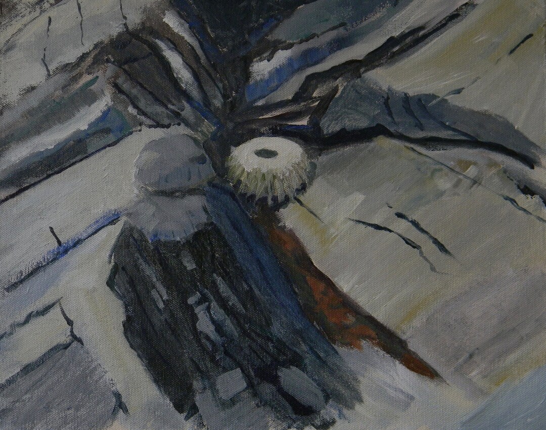 Sea Urchin on the Rocks - Etsy