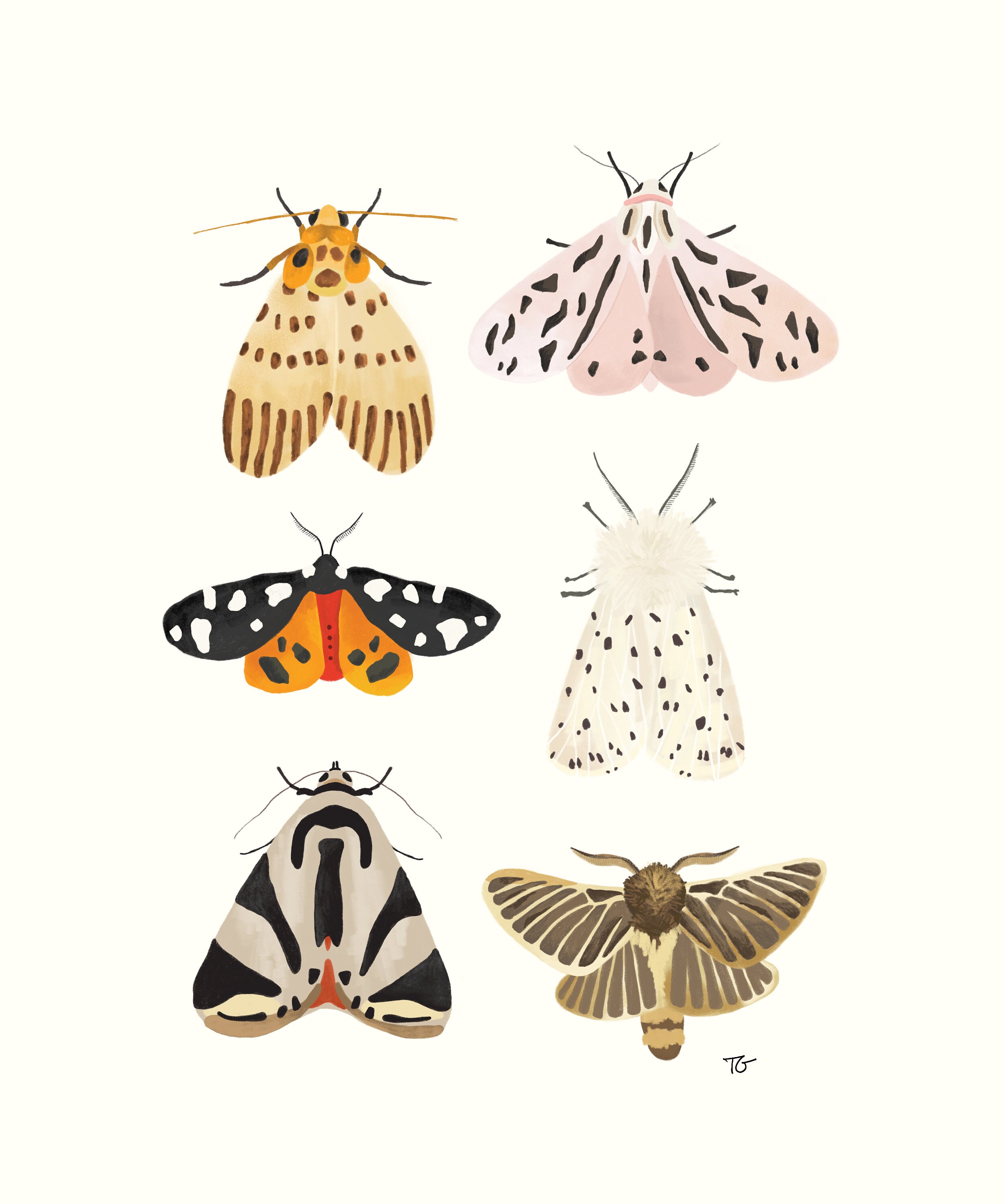 Moth Print, Digital Art, Printable Wall Art, Nursery Wall Decor, Kid's ...