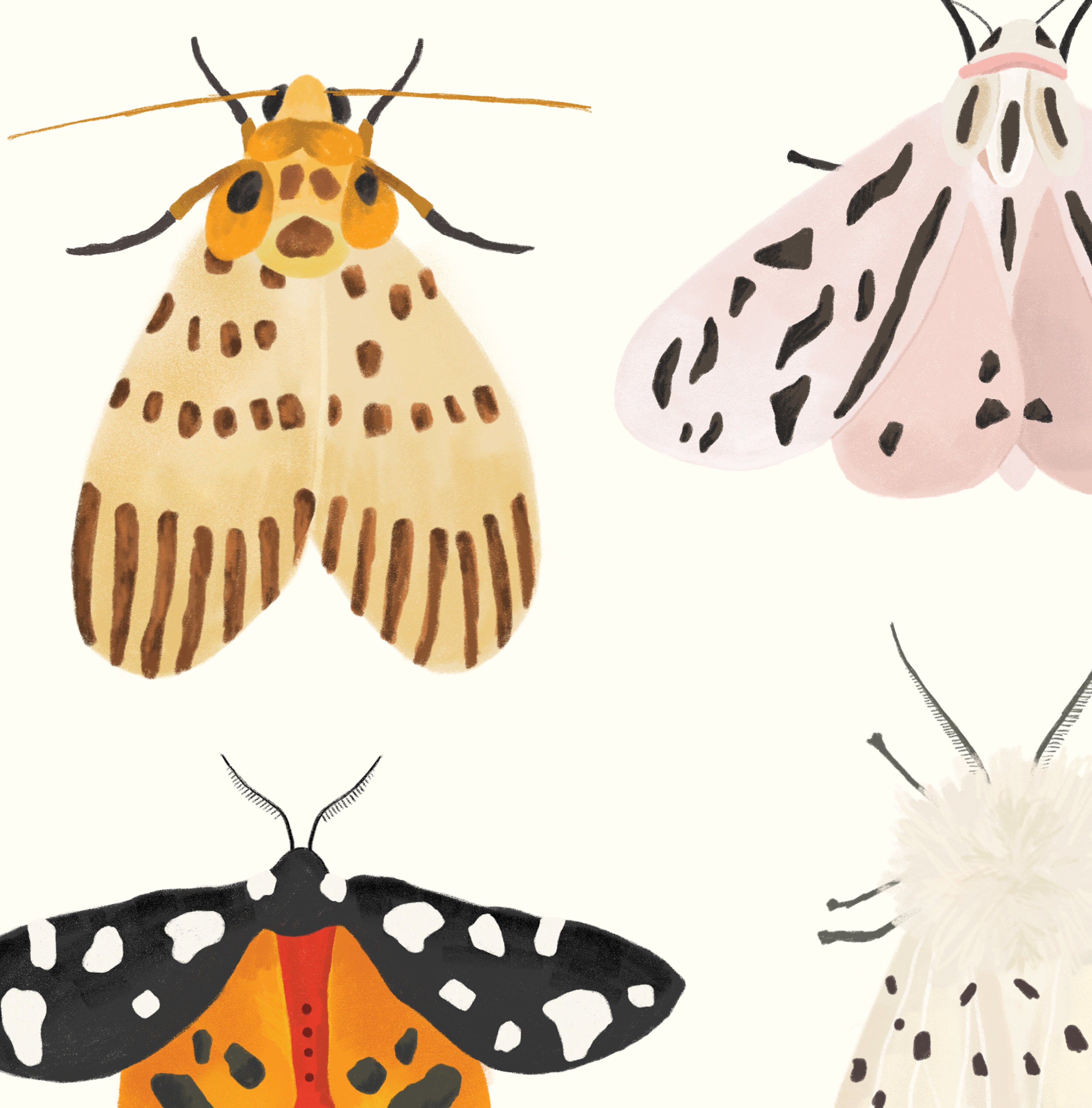 Moth Print, Digital Art, Printable Wall Art, Nursery Wall Decor, Kid's ...