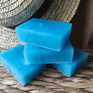 Light Blue Fragrance Handmade Soap, Fresh Spa Soap, Friendsgiving ...