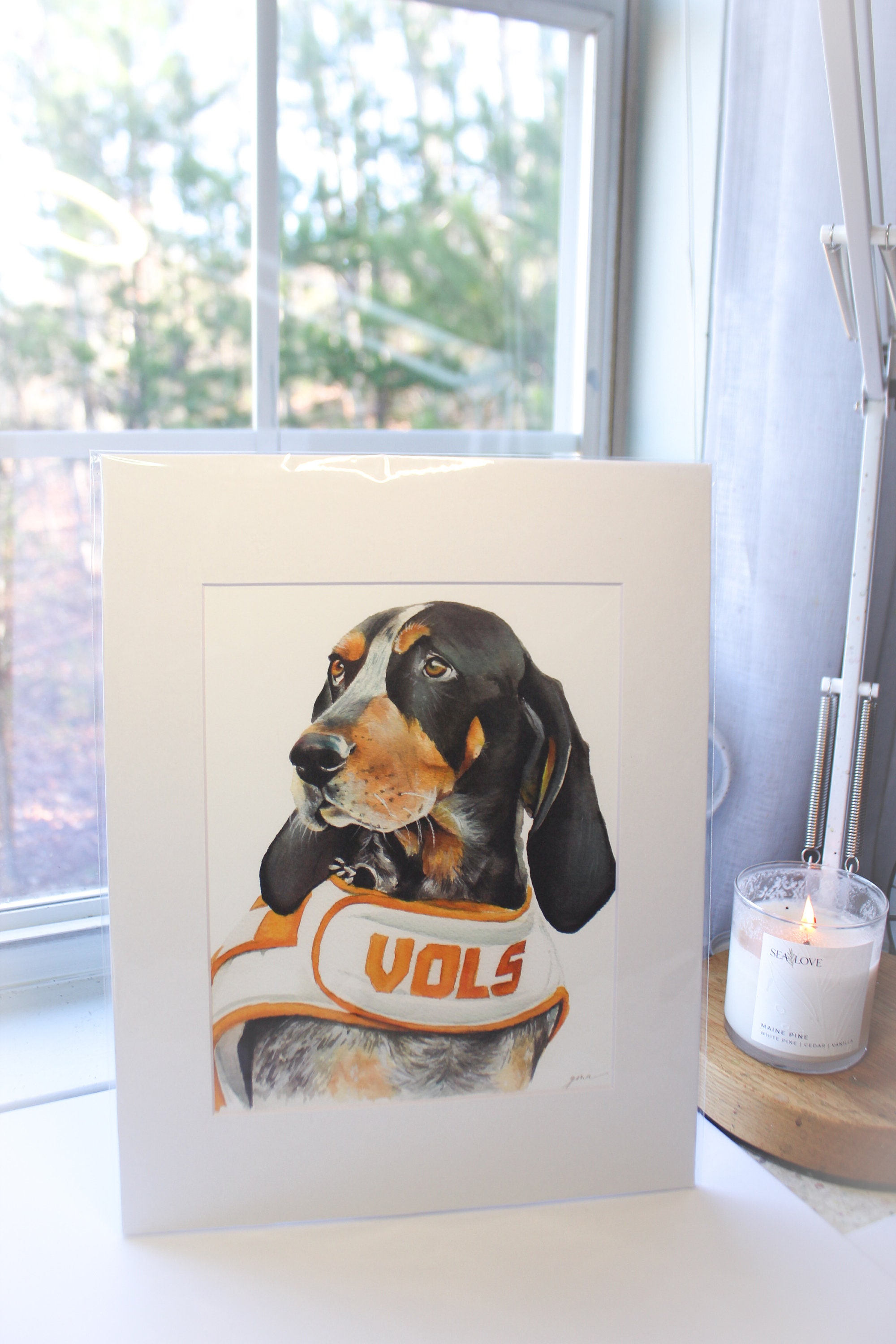 Gelicentieerd Tennessee Vols Smokey Art Print Mascotte van - Etsy Nederland