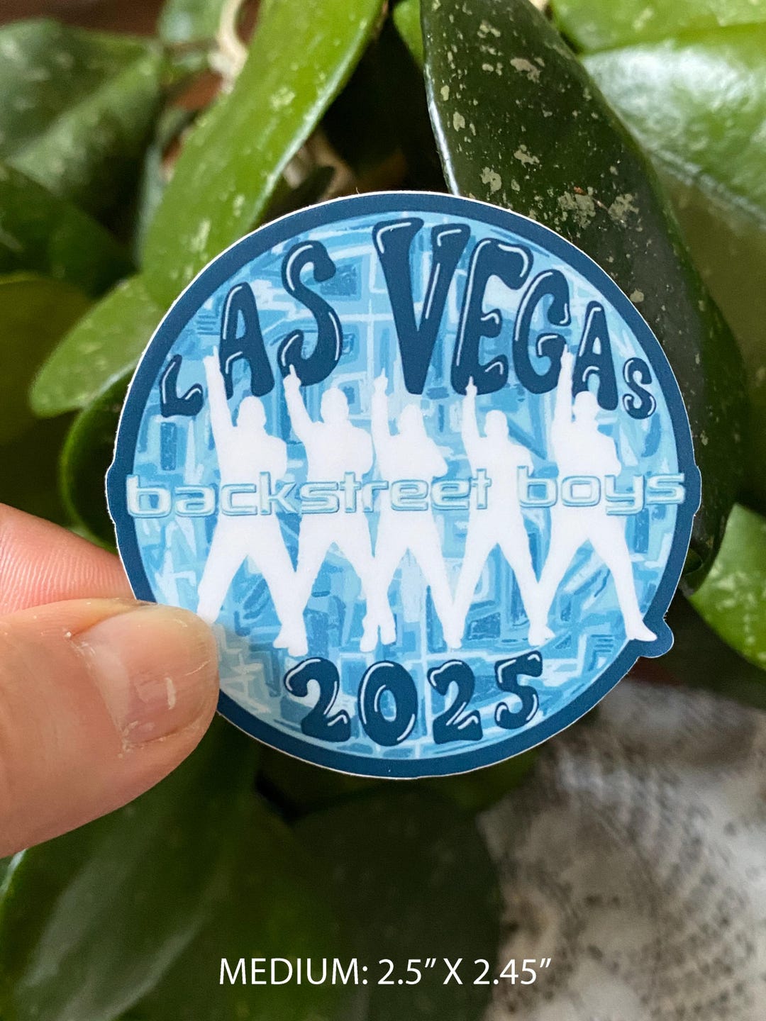 Backstreet Boys Las Vegas Sticker: Retro Waterproof Vinyl Decal - Etsy