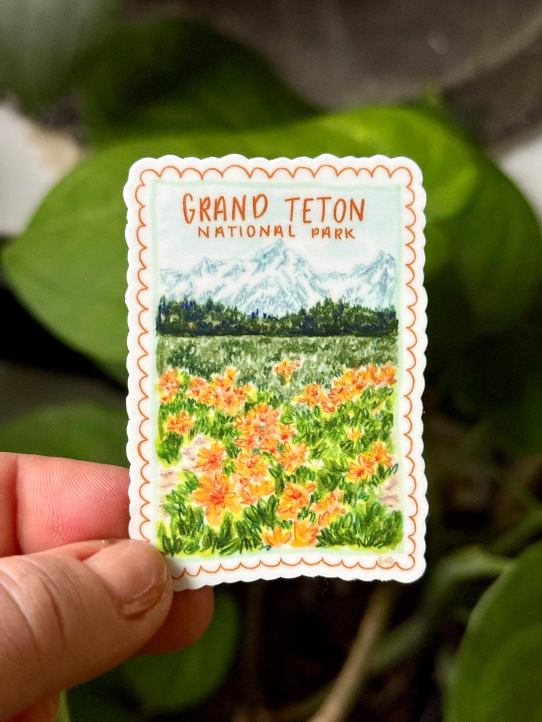 Grand Teton National Park Sticker: Wyoming, Protect Our Parks ...
