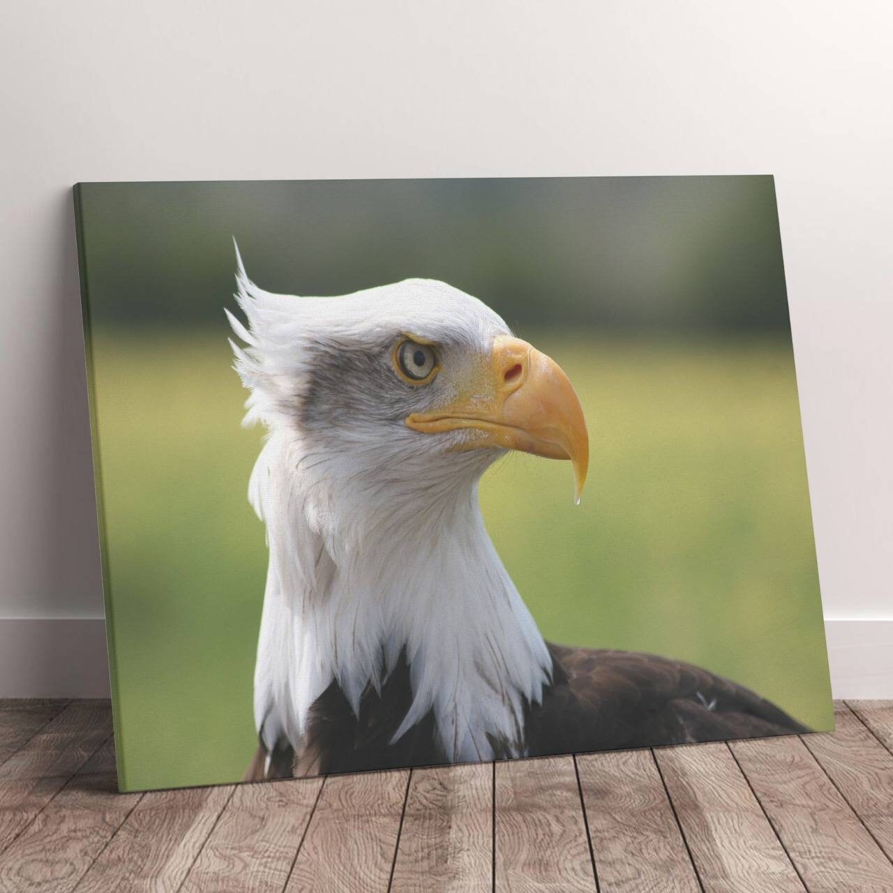 Bald Eagle Poster, Birds, Ready to Hang Canvas,american Art, Canvas ...