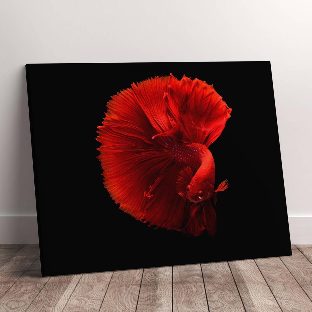 Fish Red Tail Canvas Wall Art Design, Poster Print Decor for Home ...