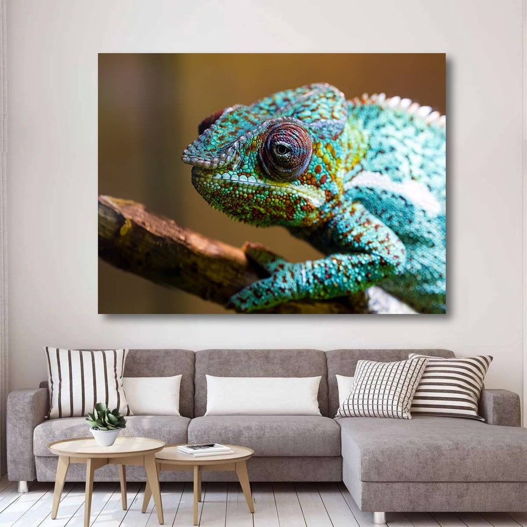 Chameleon Poster, Animal Wall Art, Nature Canvas, Interiors, Living ...