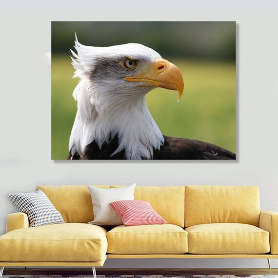 Bald Eagle Poster Birds Ready to Hang Canvasamerican Art | Etsy