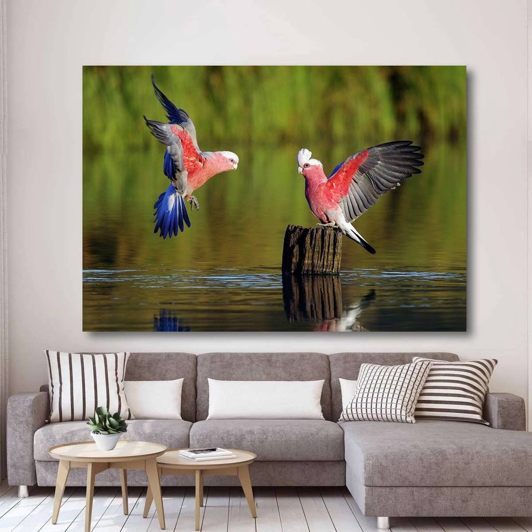 Parrots Poster, Birds, Macaw Parrots Canvas, Ready to Hang Canvas ...