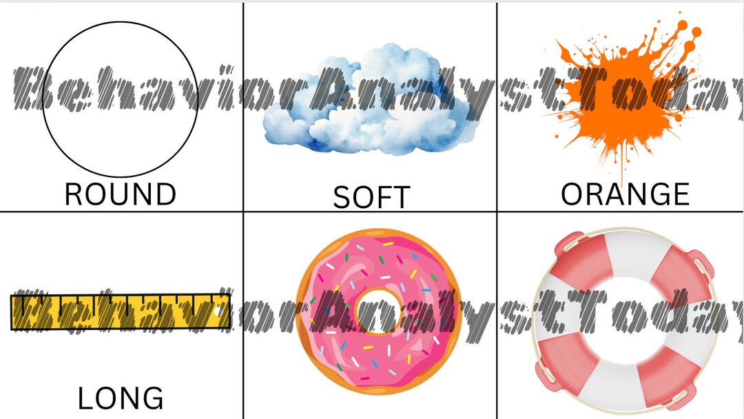 Sorting Cards: Sort by Feature (round, Long, Soft, Orange) - Etsy
