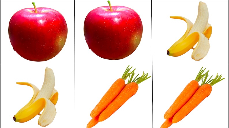 Identical Matching Cards Real Items - Etsy