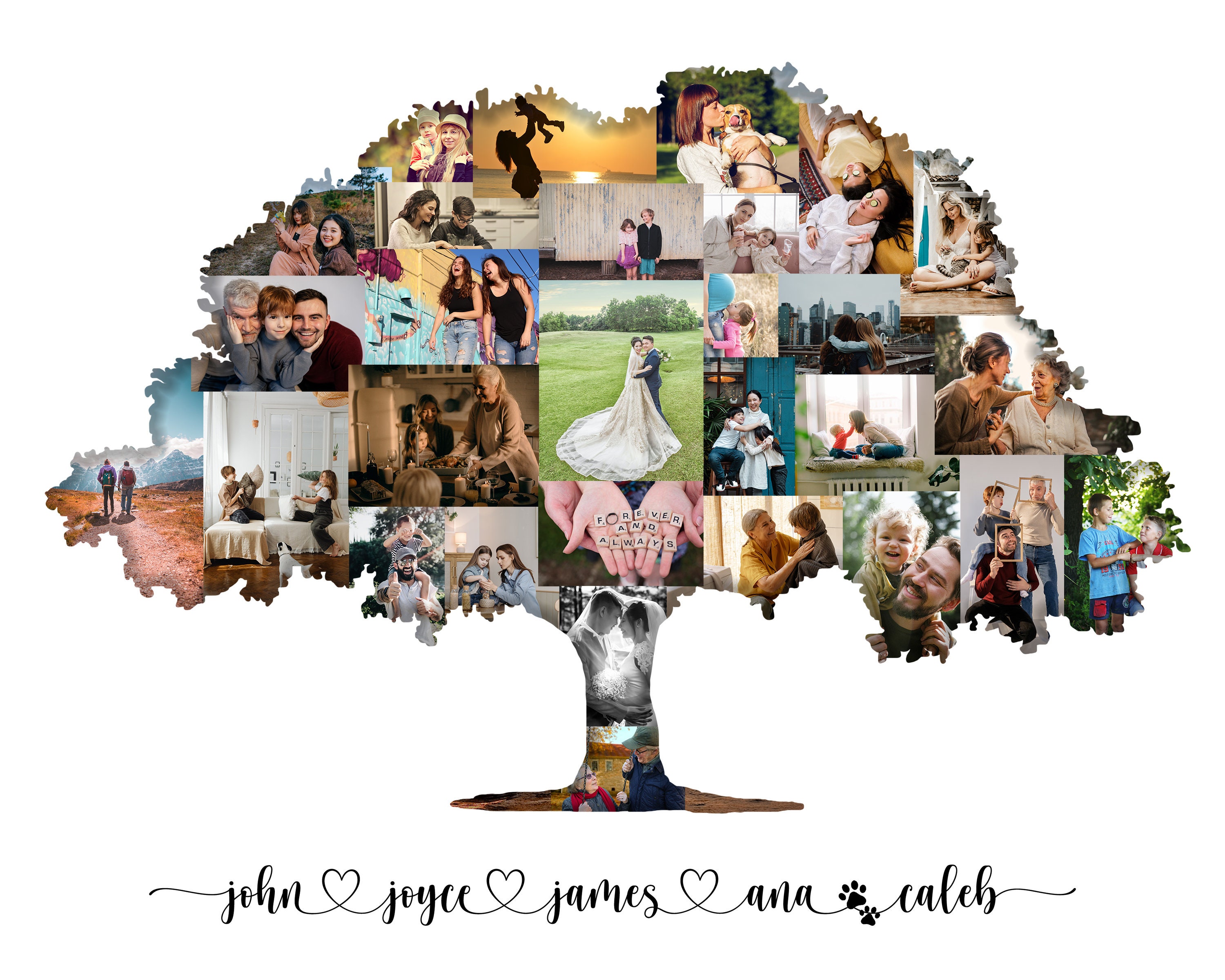 Personalised Our Family Print | Family Tree | With Names and Dog/cat ...