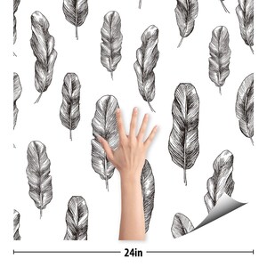 Black and White Feather Peel and Stick Removable Wallpaper 1600 - Etsy