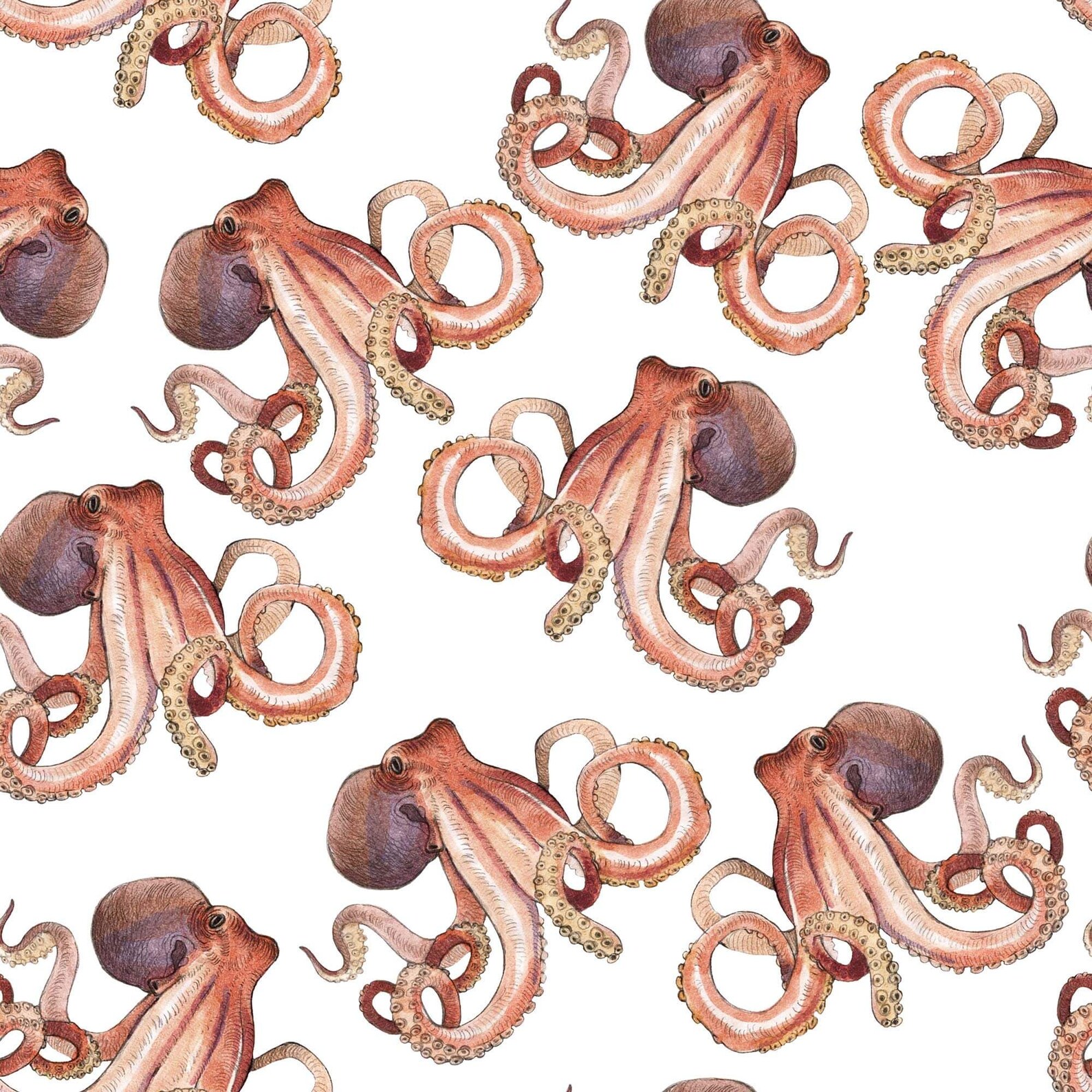 Brown Octopus Peel and Stick Removable Wallpaper 5046 - Etsy