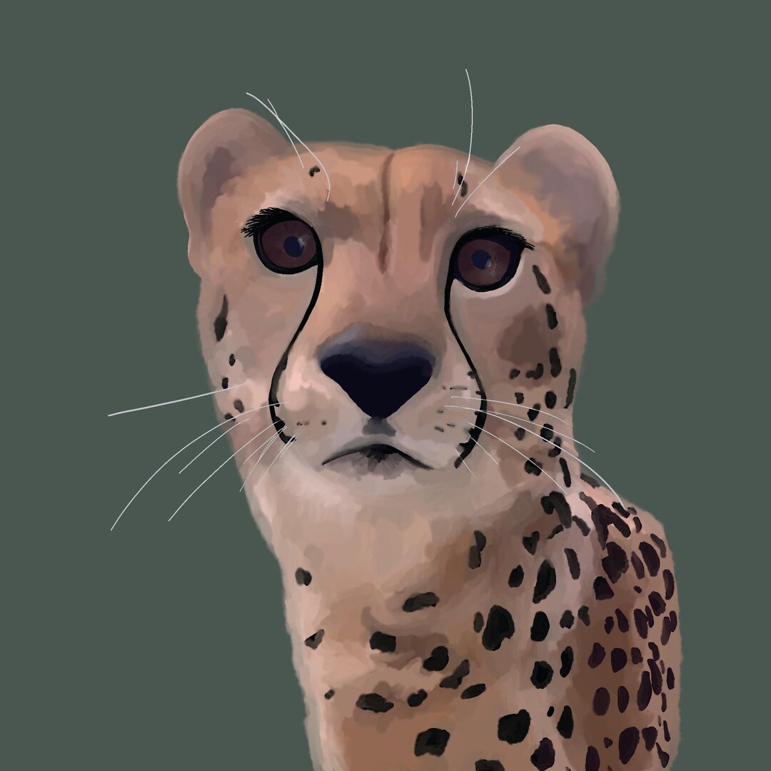 Playful Cheetah - Etsy