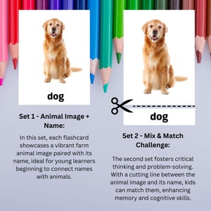 20 Farm Animals Flashcards | Printable Montessori Cards | Matching Card ...