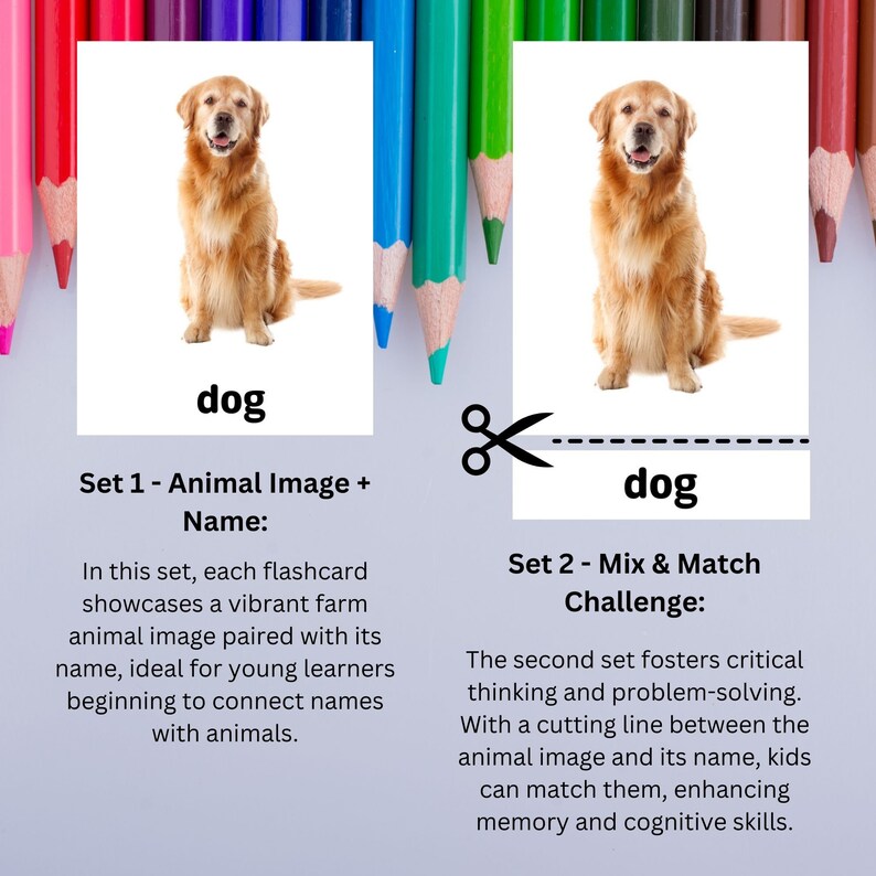 20 Farm Animals Flashcards | Printable Montessori Cards | Matching Card ...