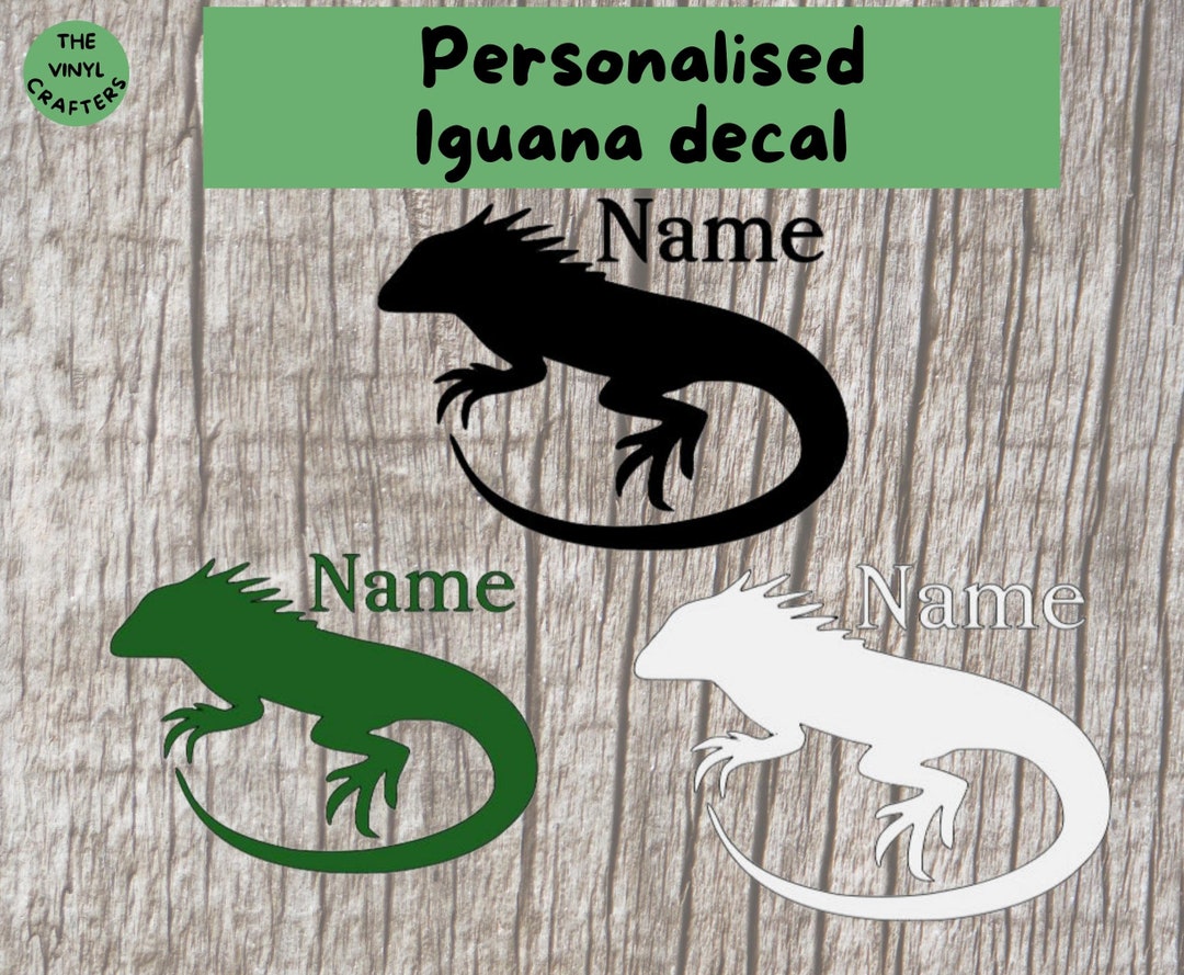 Iguana Decal Sticker/reptile Decal/reptile - Etsy