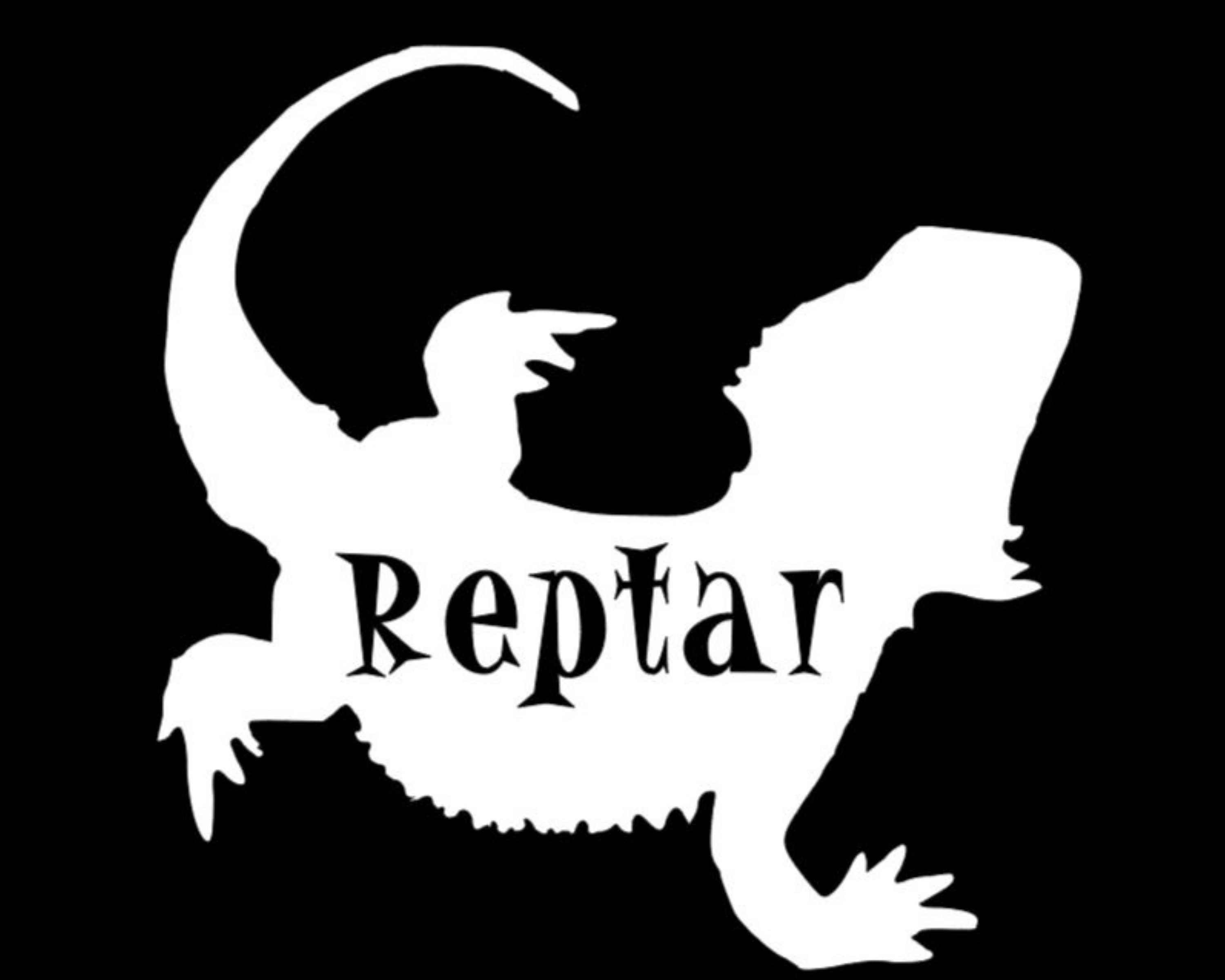 Bearded Dragon Customised Decal Sticker For Vivarium available | Etsy