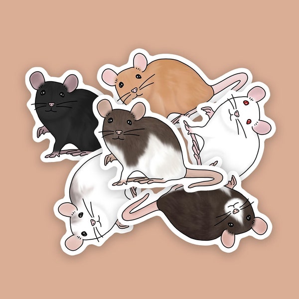 Cute Rat - Etsy