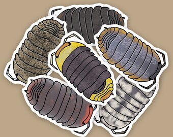 Rubber Ducky Stickers - Etsy