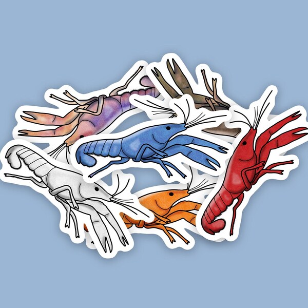 Crayfish - Etsy