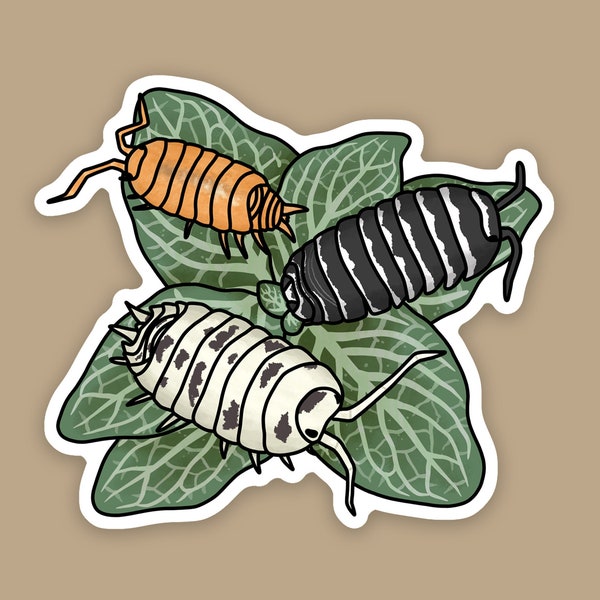 Isopod Art - Etsy