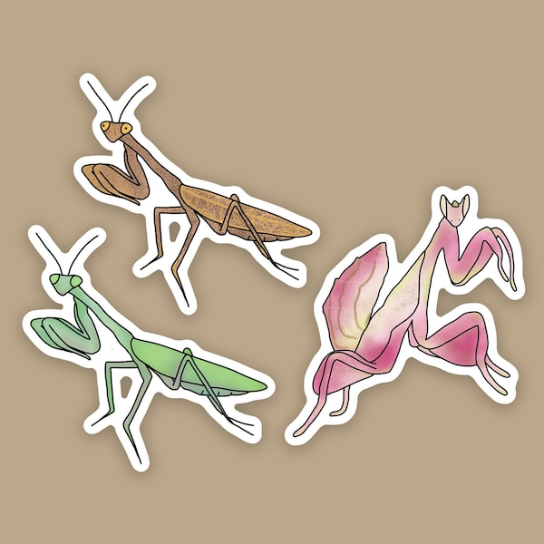 Praying Mantis - Etsy