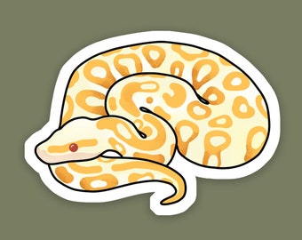 Ball Python Decor - Etsy