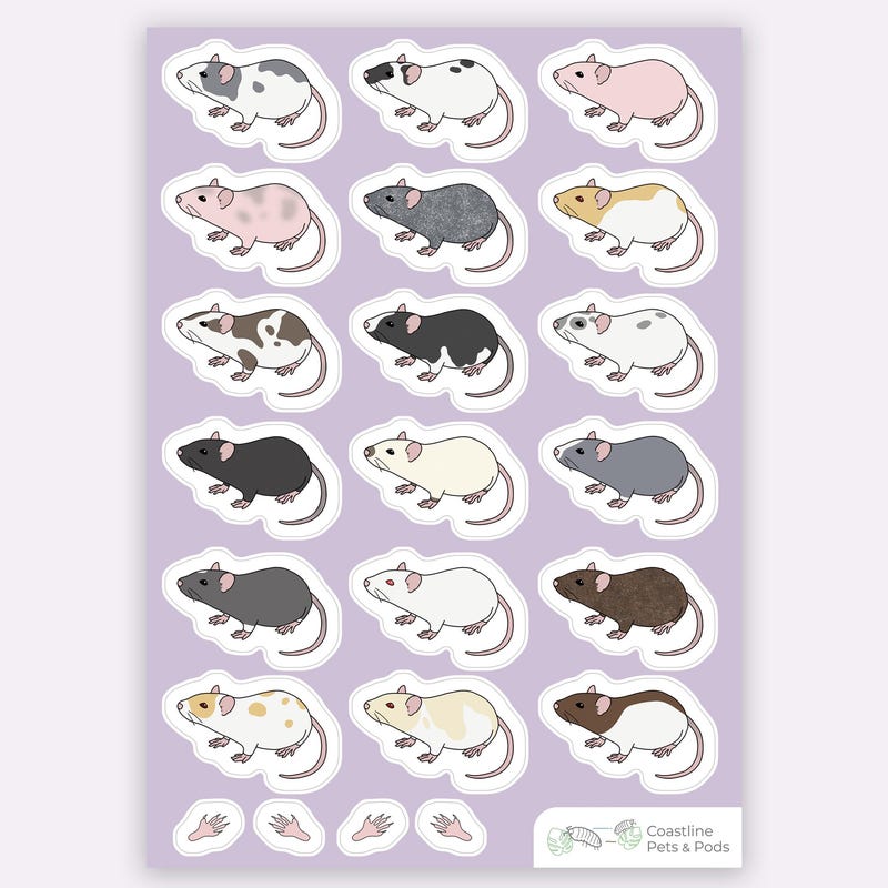 Rat Stickers - Etsy
