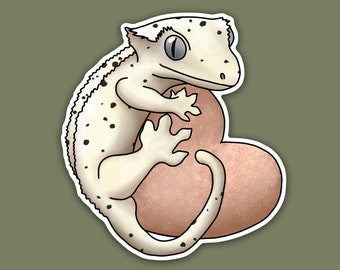 Funny Crested Gecko Sticker, Funny Crestie Sticker, Funny Gecko, Flying ...