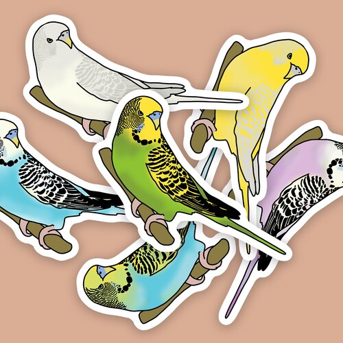 Parakeet Stickers Budgie Stickers Bird Stickers Cute - Etsy