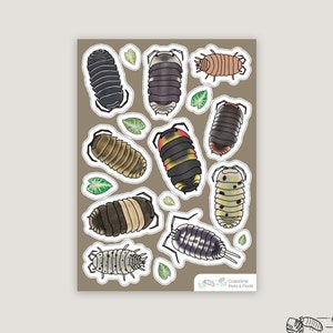1 Pc - Vinyl Isopod Sticker Sheet B, Roly Poly Stickers, Pill Bug ...