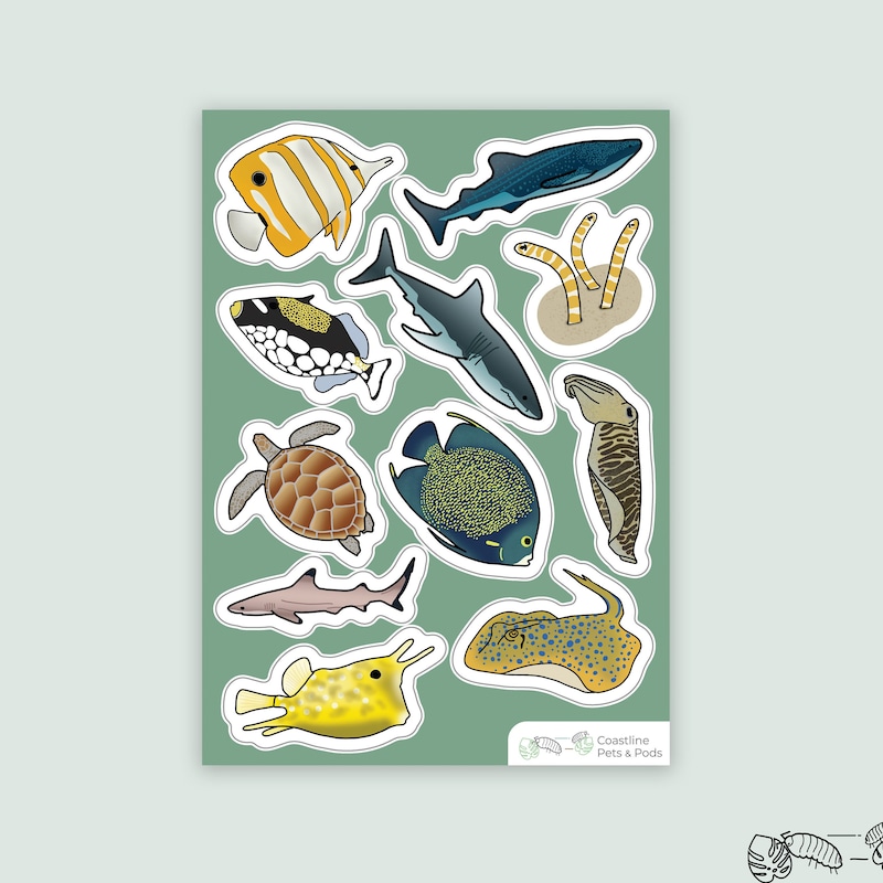 Saltwater Fish - Etsy