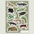1 Pc Vinyl Normal Ball Python Sticker, Ball Python Decal for Water ...