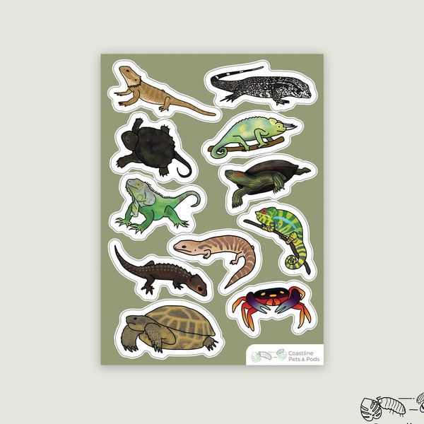 Reptile Sticker - Etsy