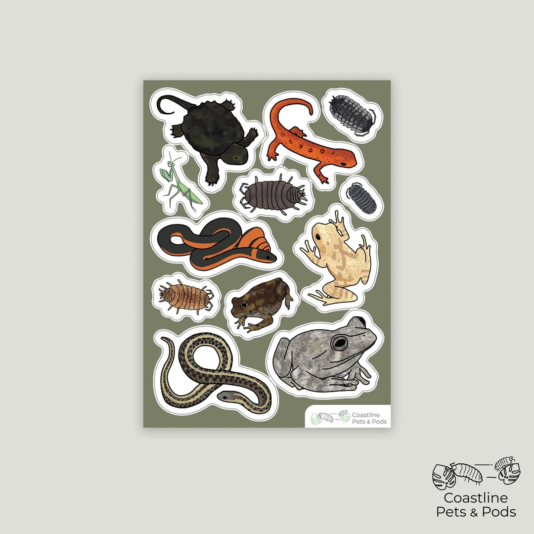 1 Pc - Vinyl New England Species Sticker Sheet, Nature Stickers ...