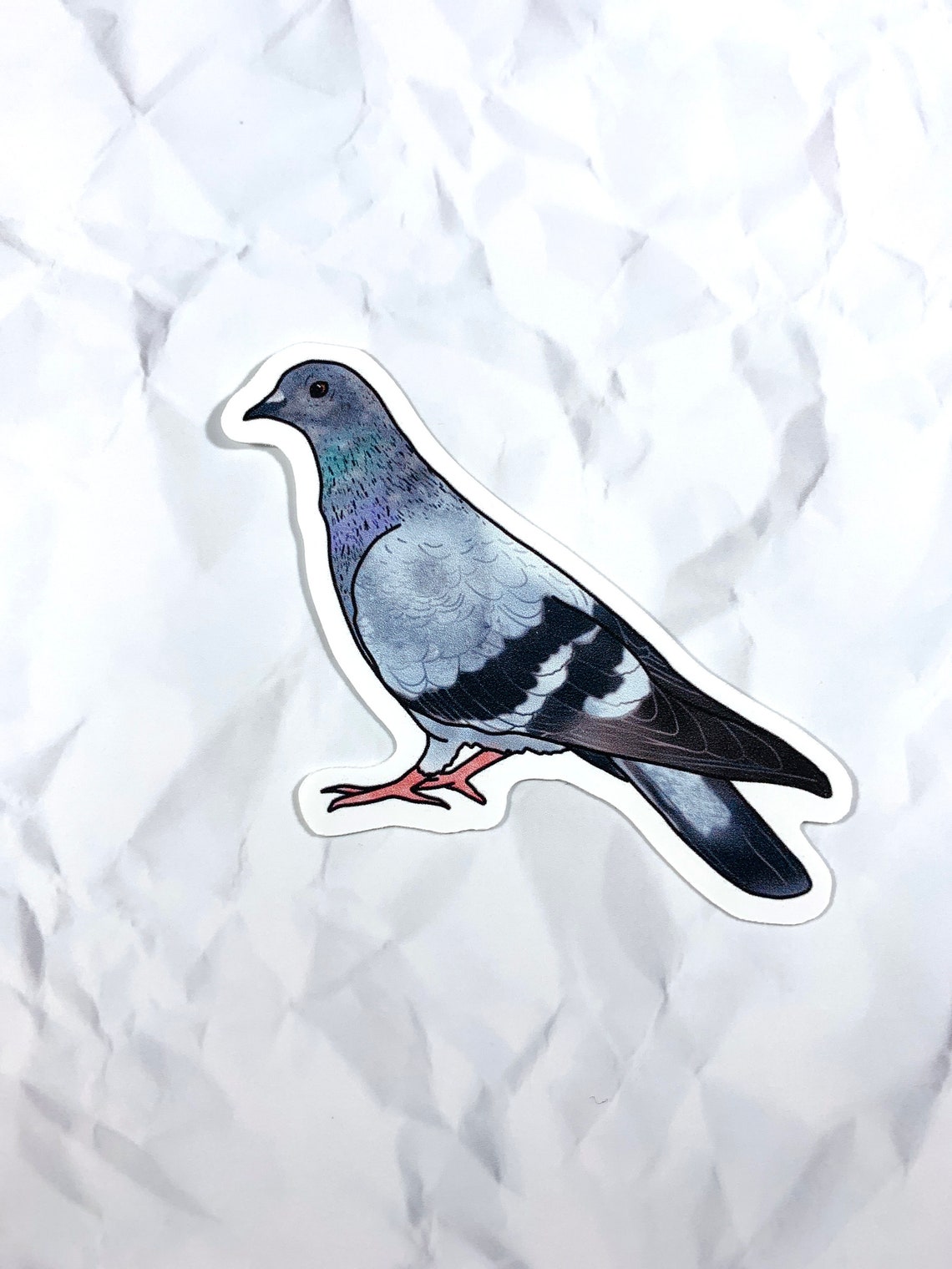 1 pc Pigeon Sticker Cute Pigeon Sticker Wildlife Sticker | Etsy