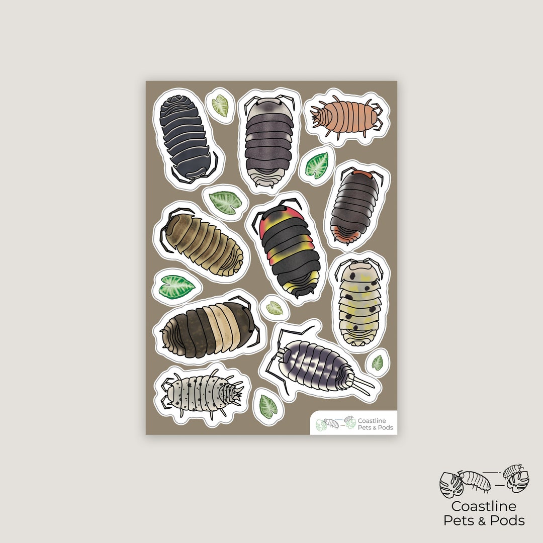1 Pc - Vinyl Isopod Sticker Sheet B, Roly Poly Stickers, Pill Bug ...