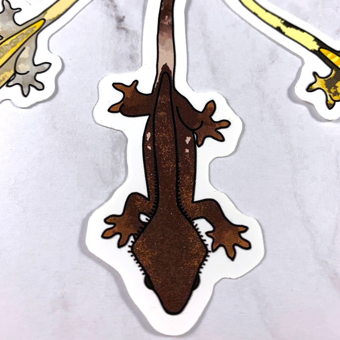 7 pcs Crested Gecko Sticker Pack A Crested Gecko Decal | Etsy