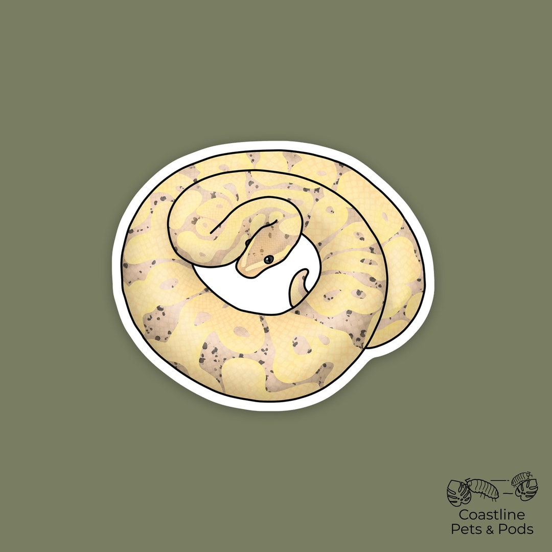 1 Pc - Vinyl Banana Ball Python Sticker, Ball Python Decal for Water ...