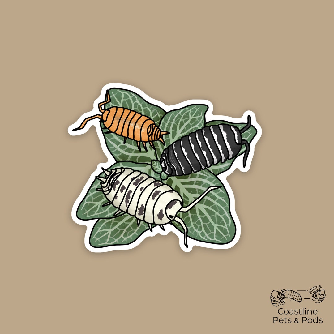 1 Pc - Vinyl Bioactive Isopod Sticker, Dairy Cow, Powder Orange, Zebra ...