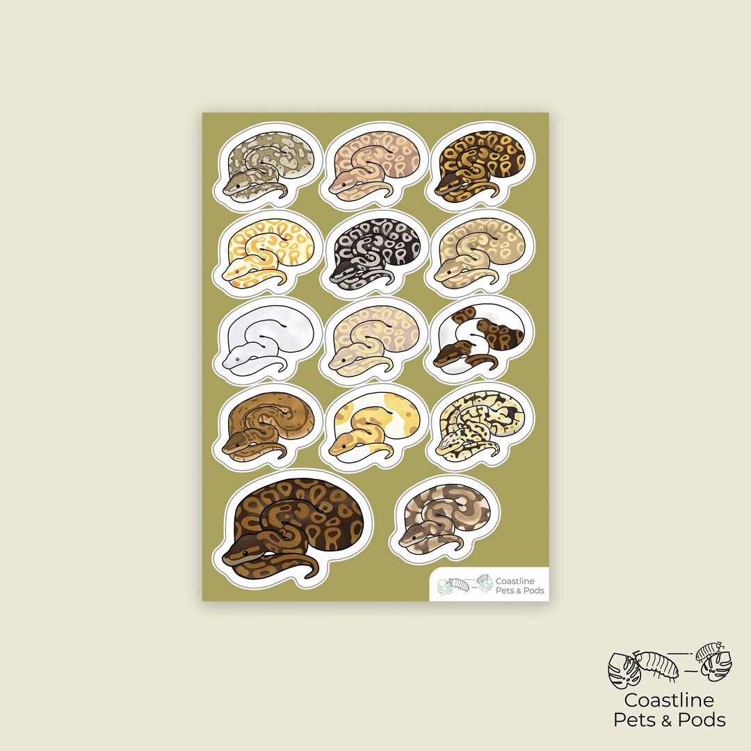 1 Pc - Vinyl Ball Python Sticker Sheet, Ball Python Decal, Snake ...