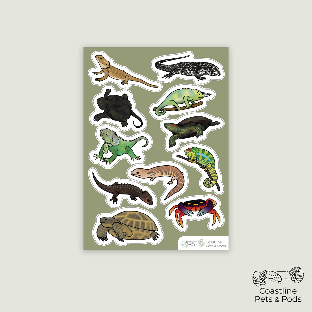 1 Pc - Vinyl Reptile Sticker Sheet, Tortoise Sticker, Skink Stickers ...